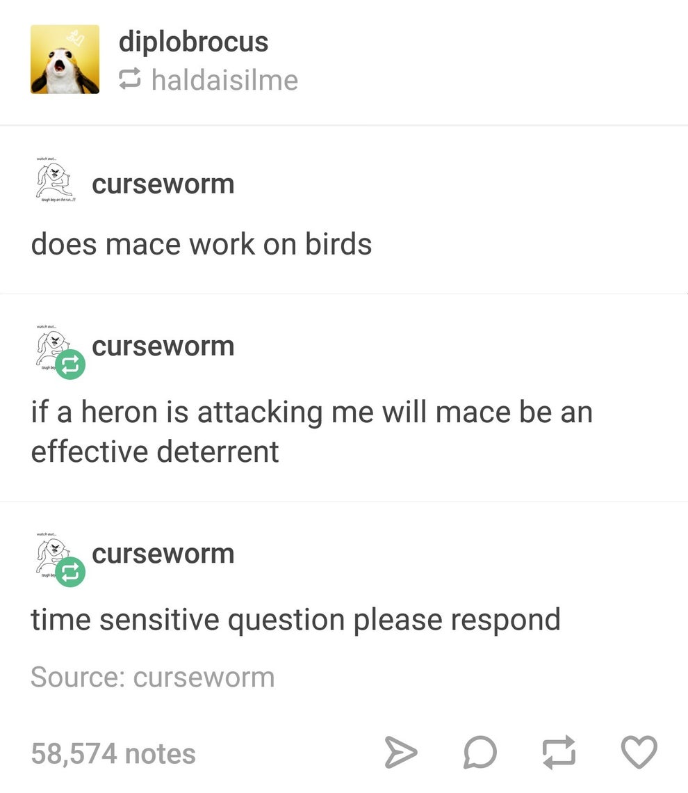 100 Of The Best And Funniest Tumblr Posts Of The 2010s