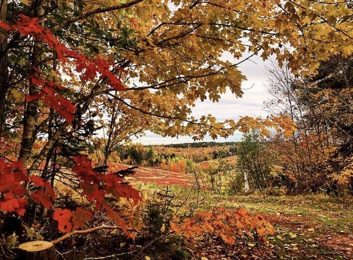 PEI Gets The Best Of All Four Seasons, And Here Are 16 Photos That Prove It
