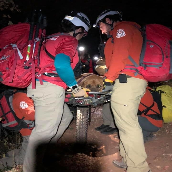 A Big Dog Named Floyd Got Stuck Hiking And Had To Be Rescued
