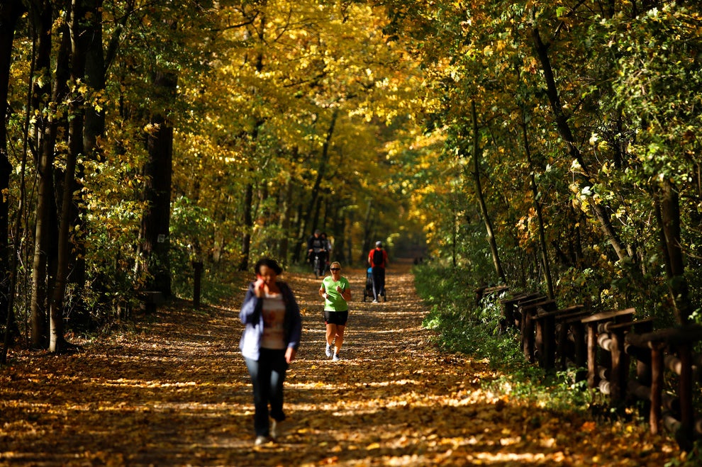 These Pictures Show The Breathtaking Beauty Of Autumn Around The World
