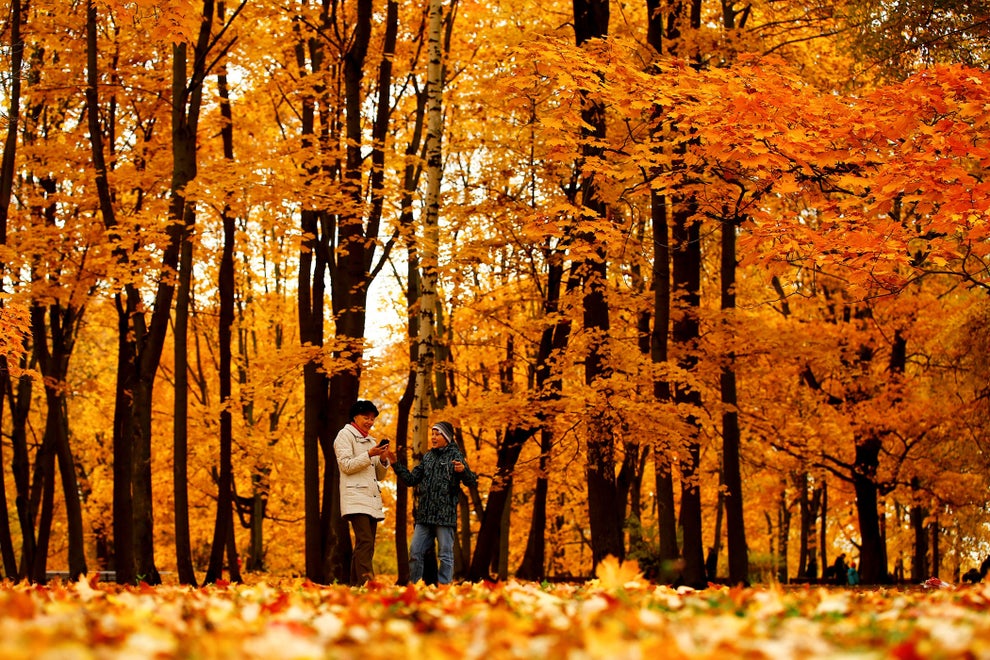 These Pictures Show The Breathtaking Beauty Of Autumn Around The World