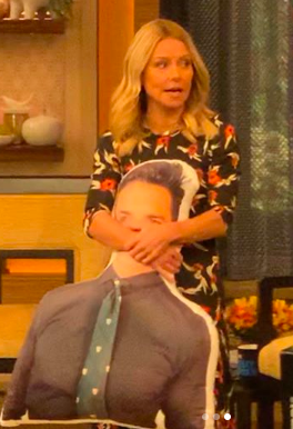 A Fan Gave Kelly Ripa A Pillow With Mark Consuelos's Face On It, And ...