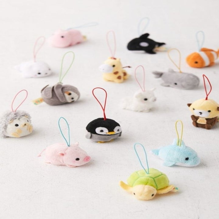 30 Cool Things To Buy For Under $10