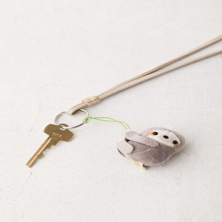 30 Cool Things To Buy For Under $10