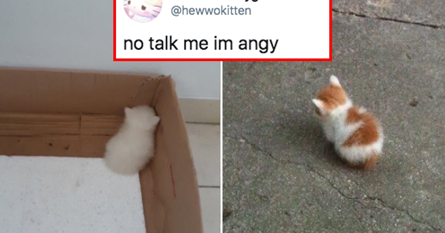 no talk me im angry : r/ffxiv