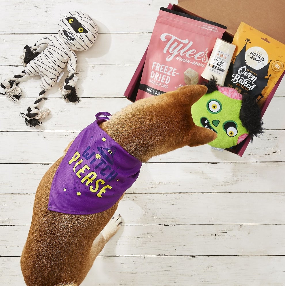 26 Things From Chewy That Pets Truly Love