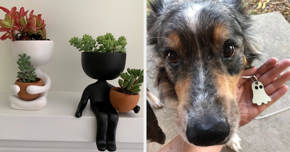 28 Things That Are Overwhelmingly Cute