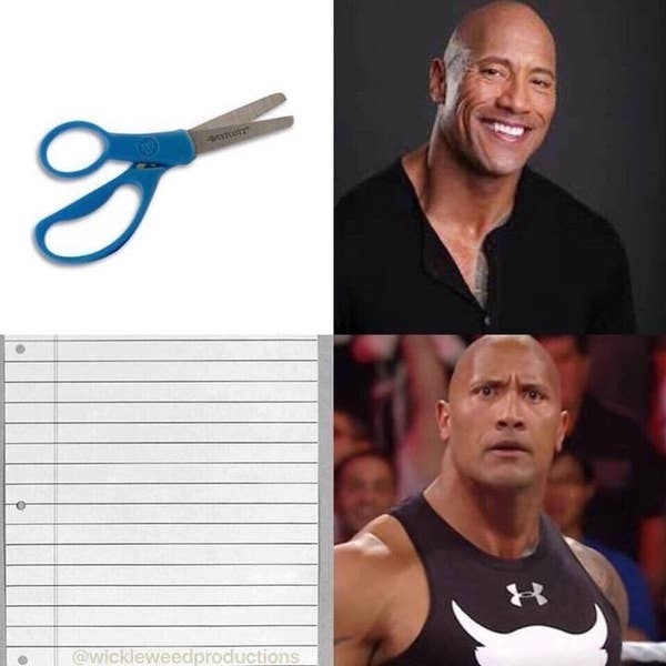 If None Of These 100 Pictures Make You Laugh Till You Cry, Nothing Will