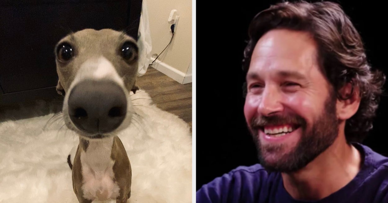 Funny Things That Happened This Week Oct 25 2019 funny-things-that-happened-this-week-oct-25-2019