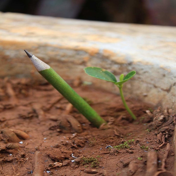 Eco-Friendly Products To Help Save The Earth