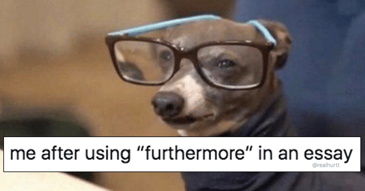 31 Funny Jokes From This Month That Went Viral