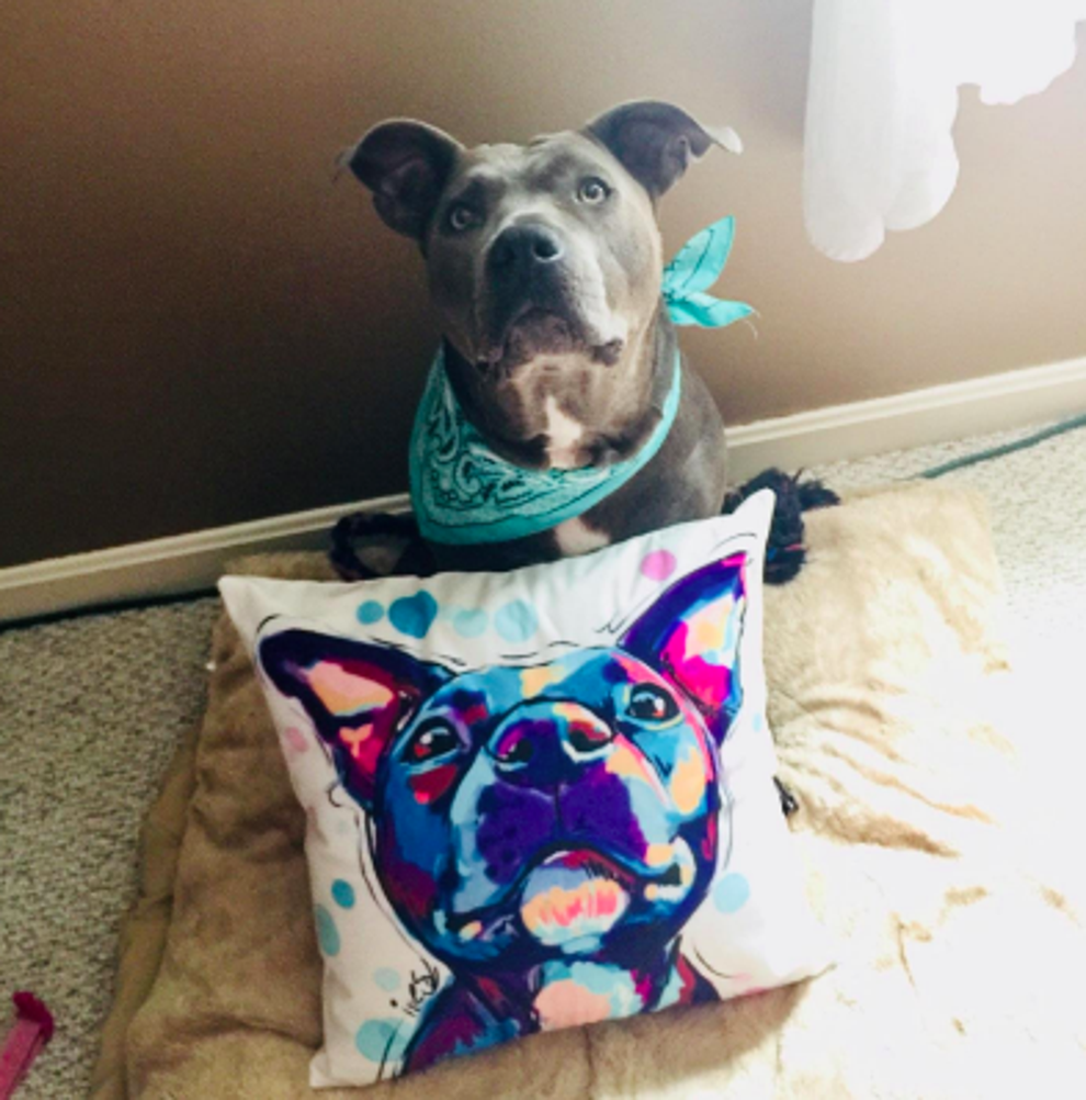 19 Gifts For Anyone Who Loves Pit Bulls