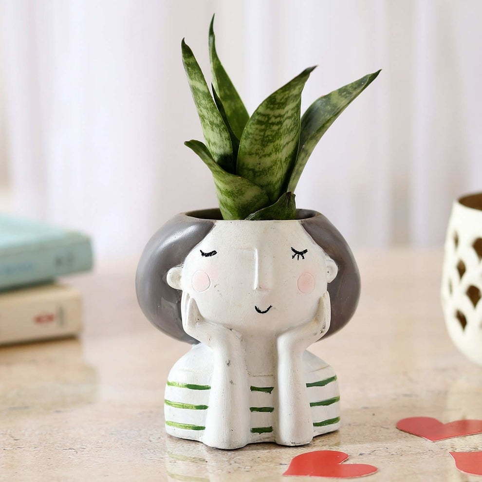 12 Cute Planters For Anyone Looking For An Excuse To Buy More Plants