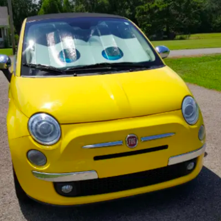 31 Silly Purchases That’ll Probably Cause People To Give You More ...