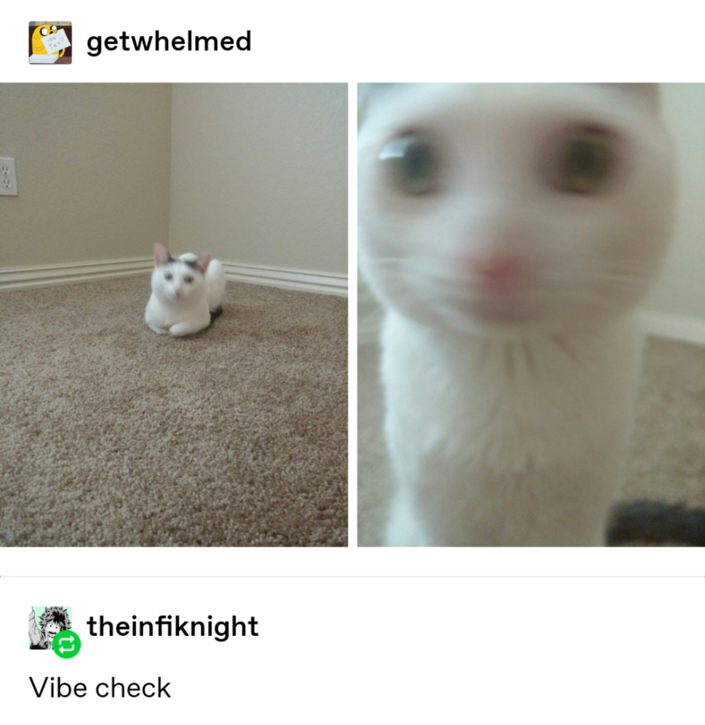 23 Memes To Explain Exactly What A "Vibe Check" Is