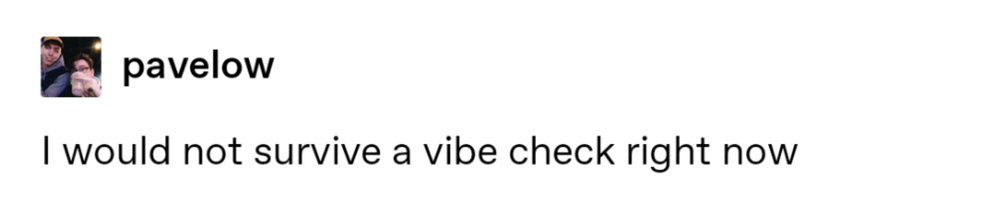23 Memes To Explain Exactly What A "Vibe Check" Is