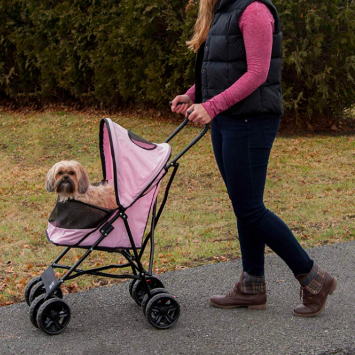 31 Silly Purchases That’ll Probably Cause People To Give You More ...