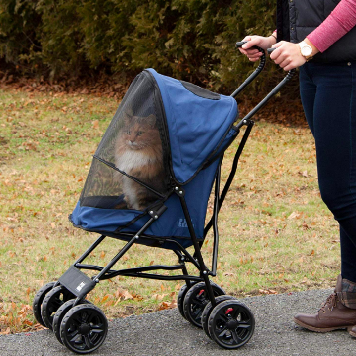 31 Silly Purchases That’ll Probably Cause People To Give You More ...