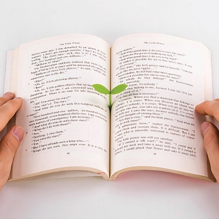 31 Silly Purchases That’ll Probably Cause People To Give You More ...