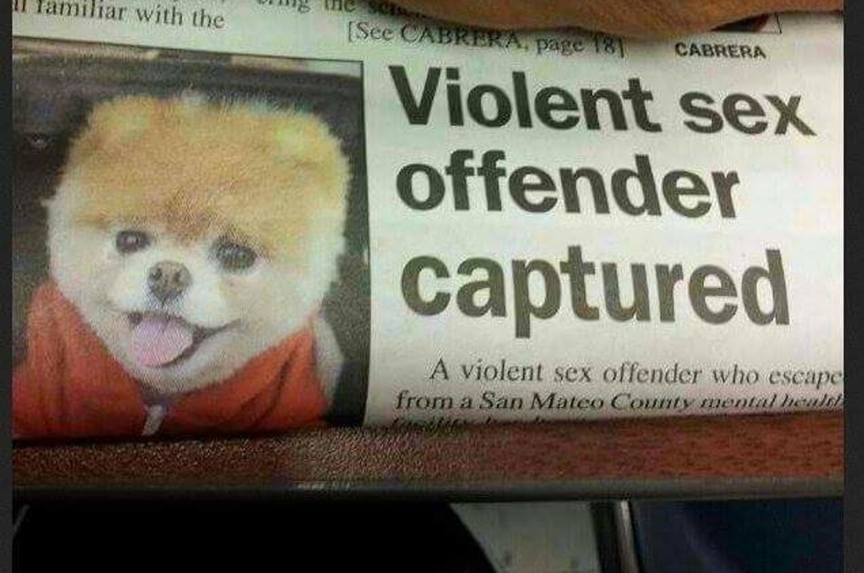18 Newspaper Fails That Prove You Have To Pay Attention To Your Layout