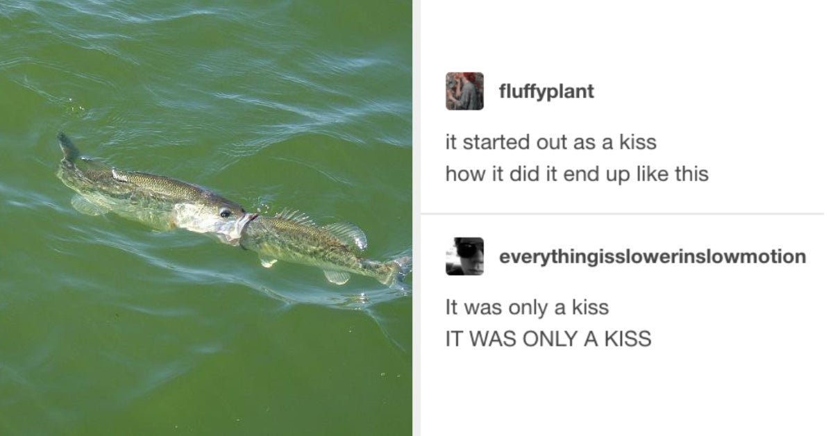 21 Funny And Weird Tumblr Posts