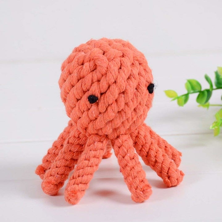 Just 33 Ridiculously Cute Things You Can Buy For £3 Or Less