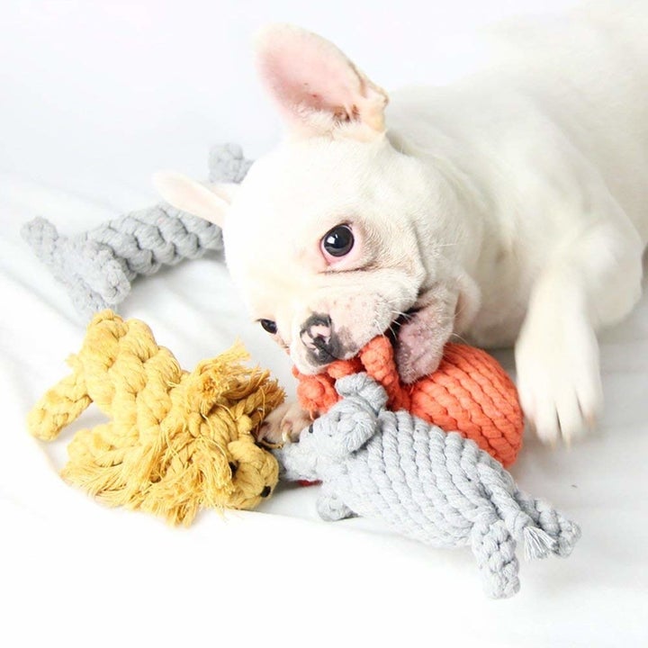 Just 33 Ridiculously Cute Things You Can Buy For £3 Or Less