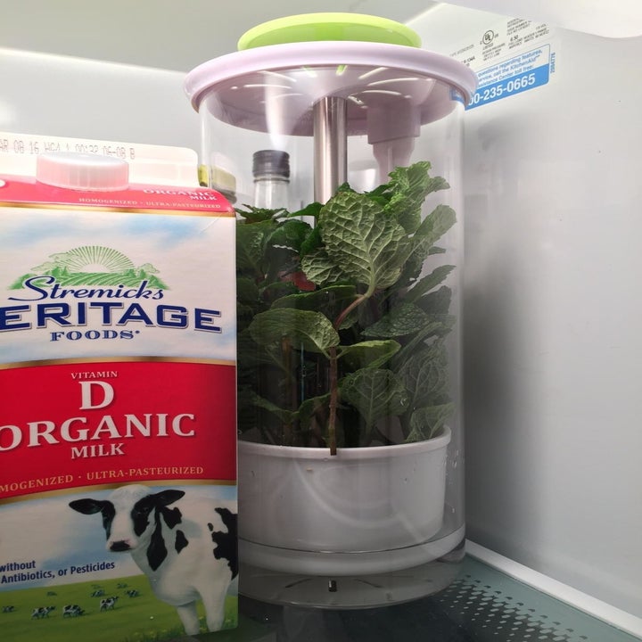 24 Cool Gifts To Buy For Your Fridge