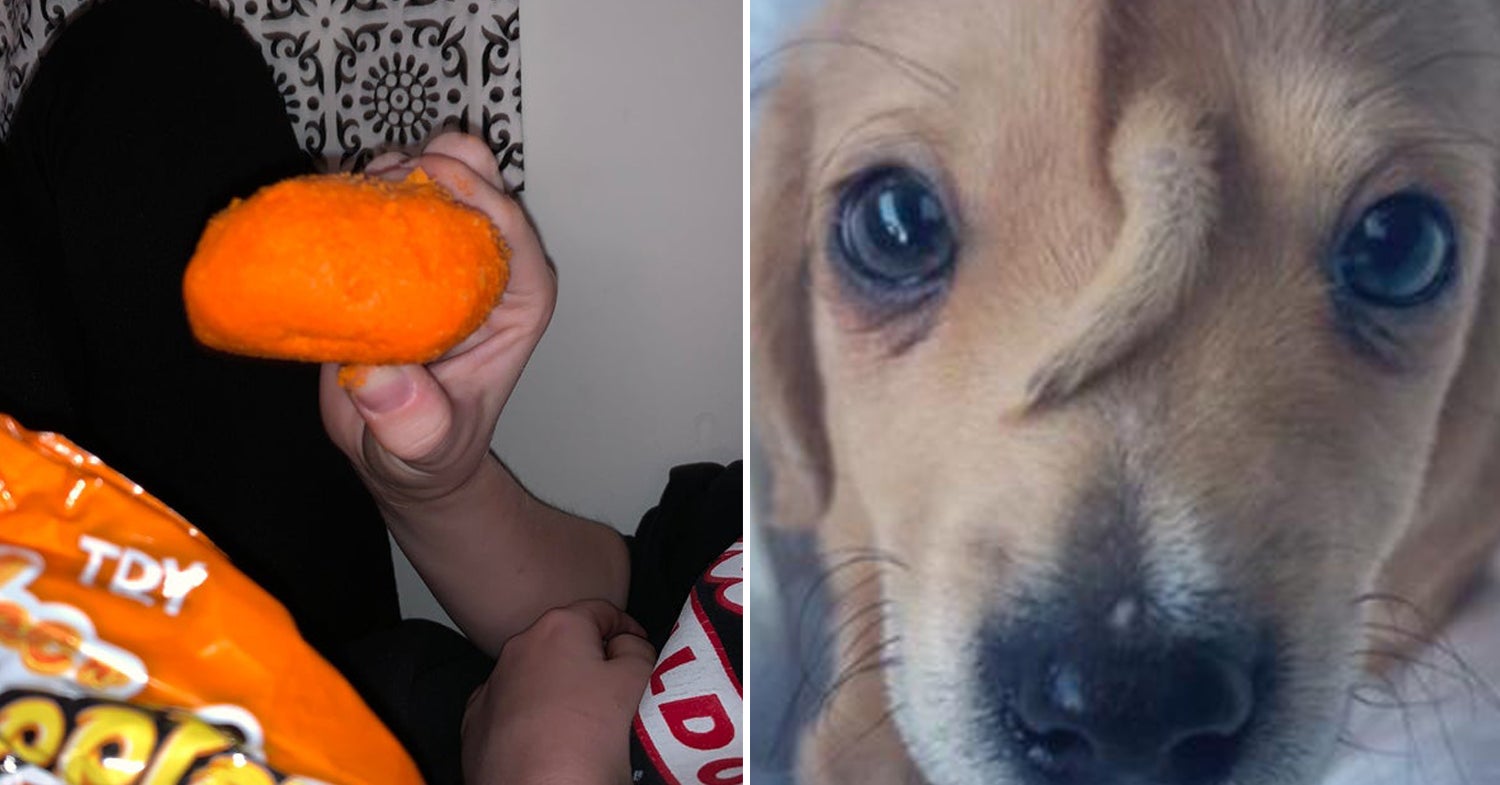 15 Cool And Bizarre Things Only The Internet Could've Given Us