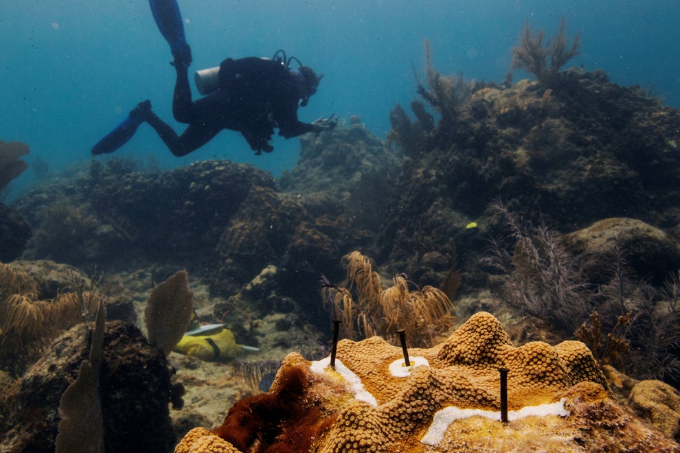 There Is A New Way To See Climate Change