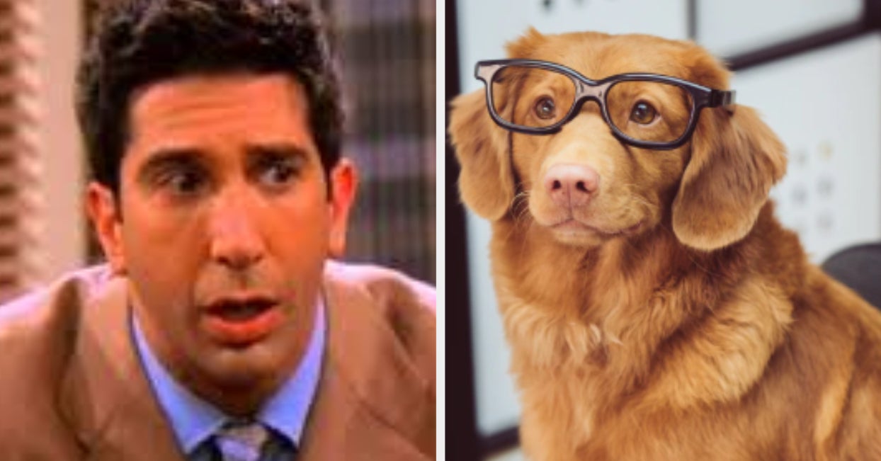 The Dogs You Choose Will Reveal Which "Friends" Character You're Most Like