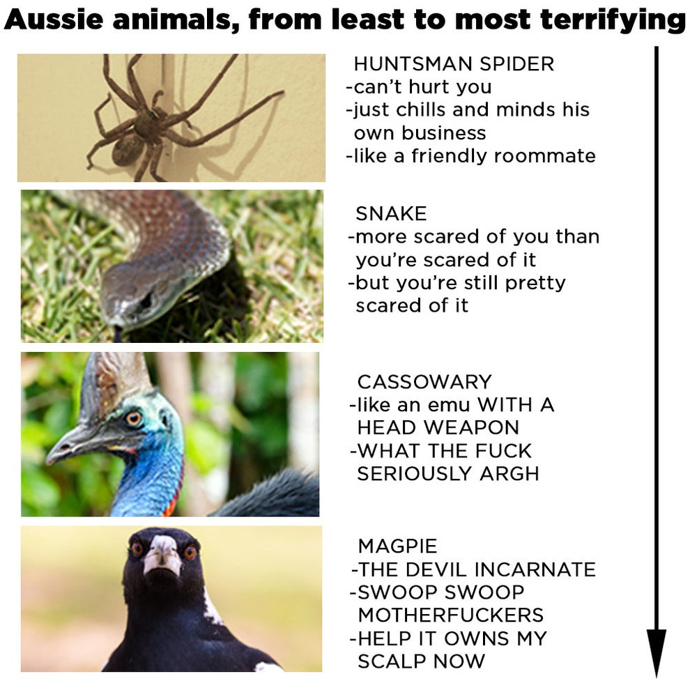 The Best Aussie Memes From This Decade
