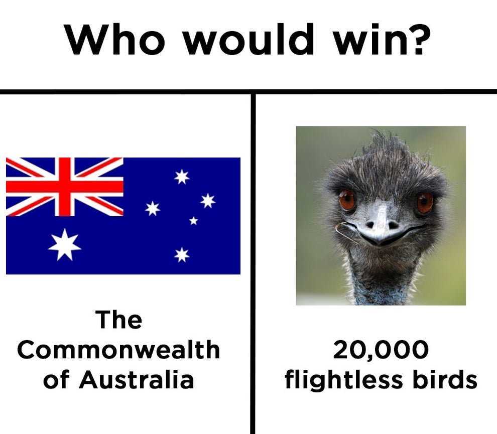 The Best Aussie Memes From This Decade