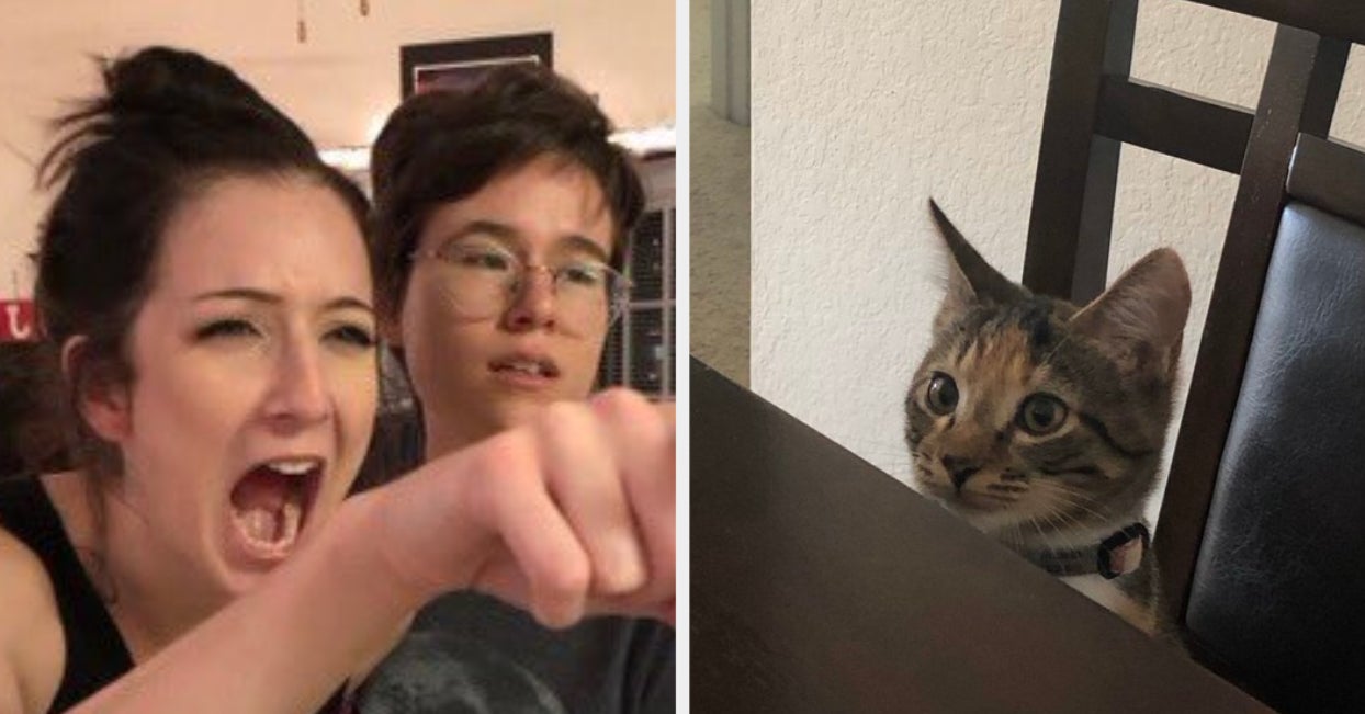 Funny Things That Happened On The Internet This Week — Nov. 22, 2019