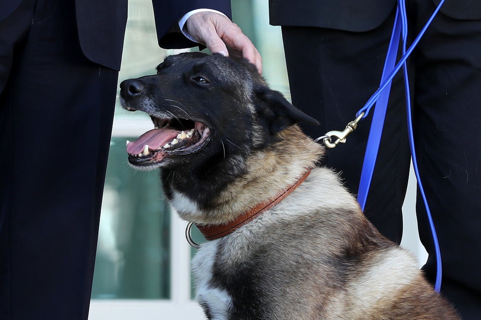 Trump Greets Military Dog From Baghdadi Raid At White House
