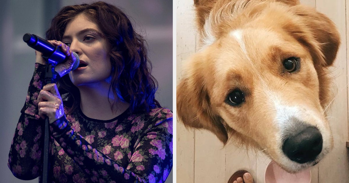 Lorde Has Delayed Her Album After The ''Indescribably Painful'' Death ...