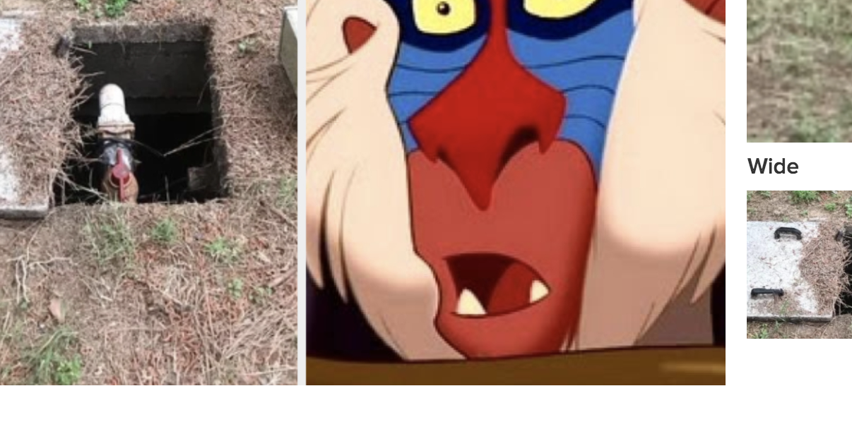 19 Random Things That Look Like Things They Shouldn't