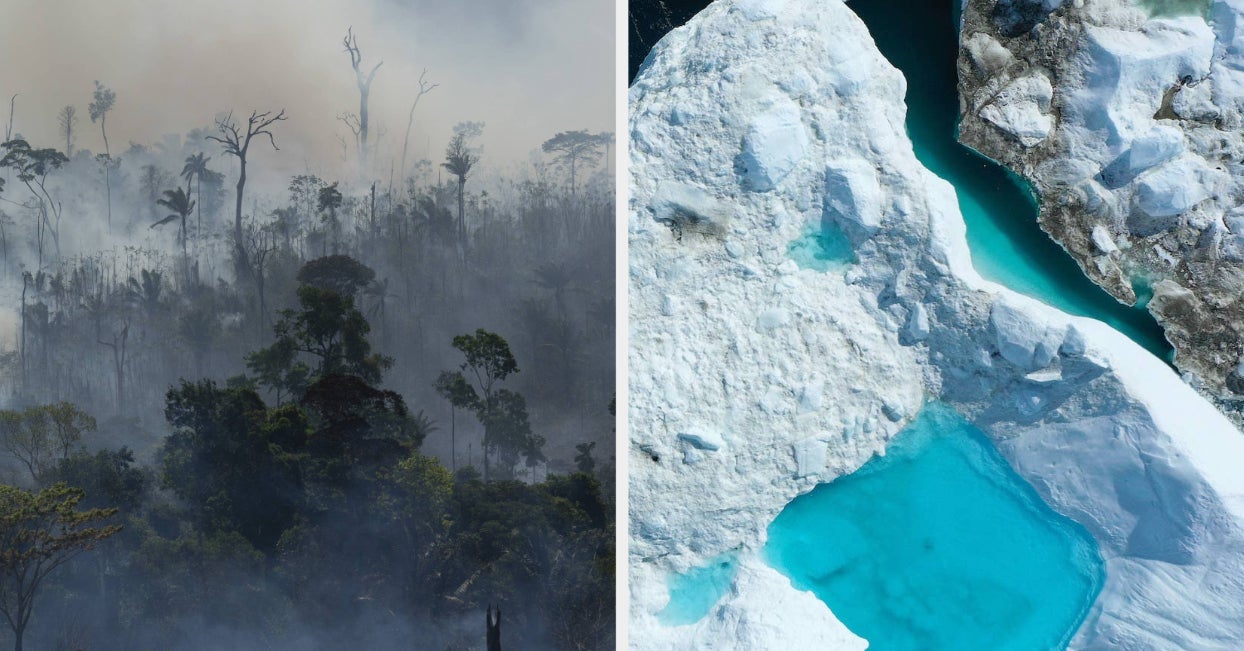 More Than 11,000 Scientists Declare Climate Emergency, Warn Of "Untold ...