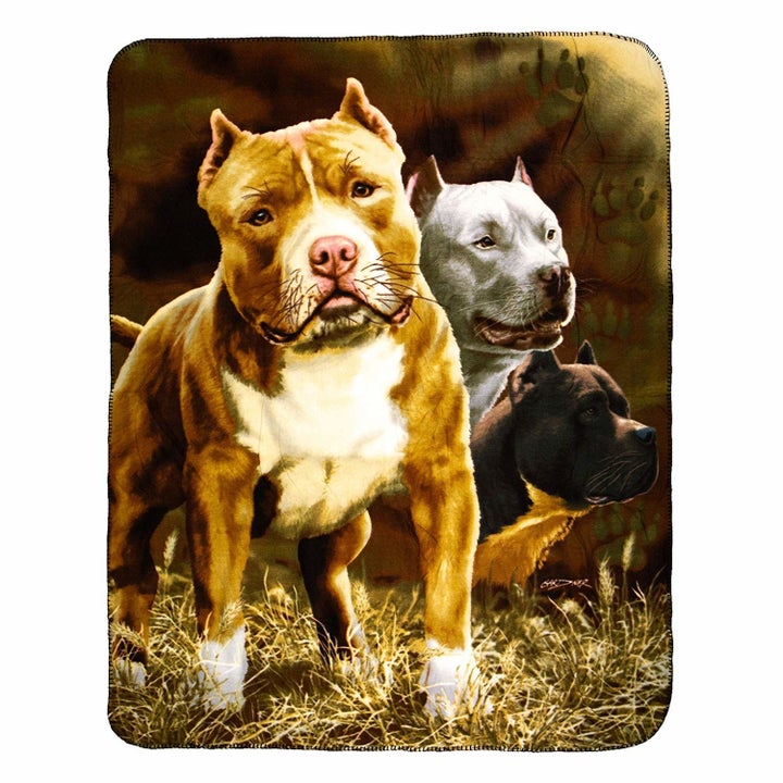 19 Gifts For Anyone Who Loves Pit Bulls