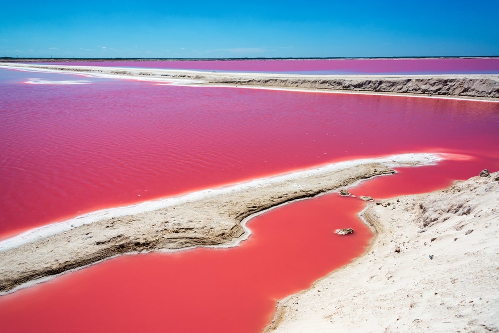 Mexico's Pink Lake, Las Coloradas, Is The Most Beautiful Place In The ...