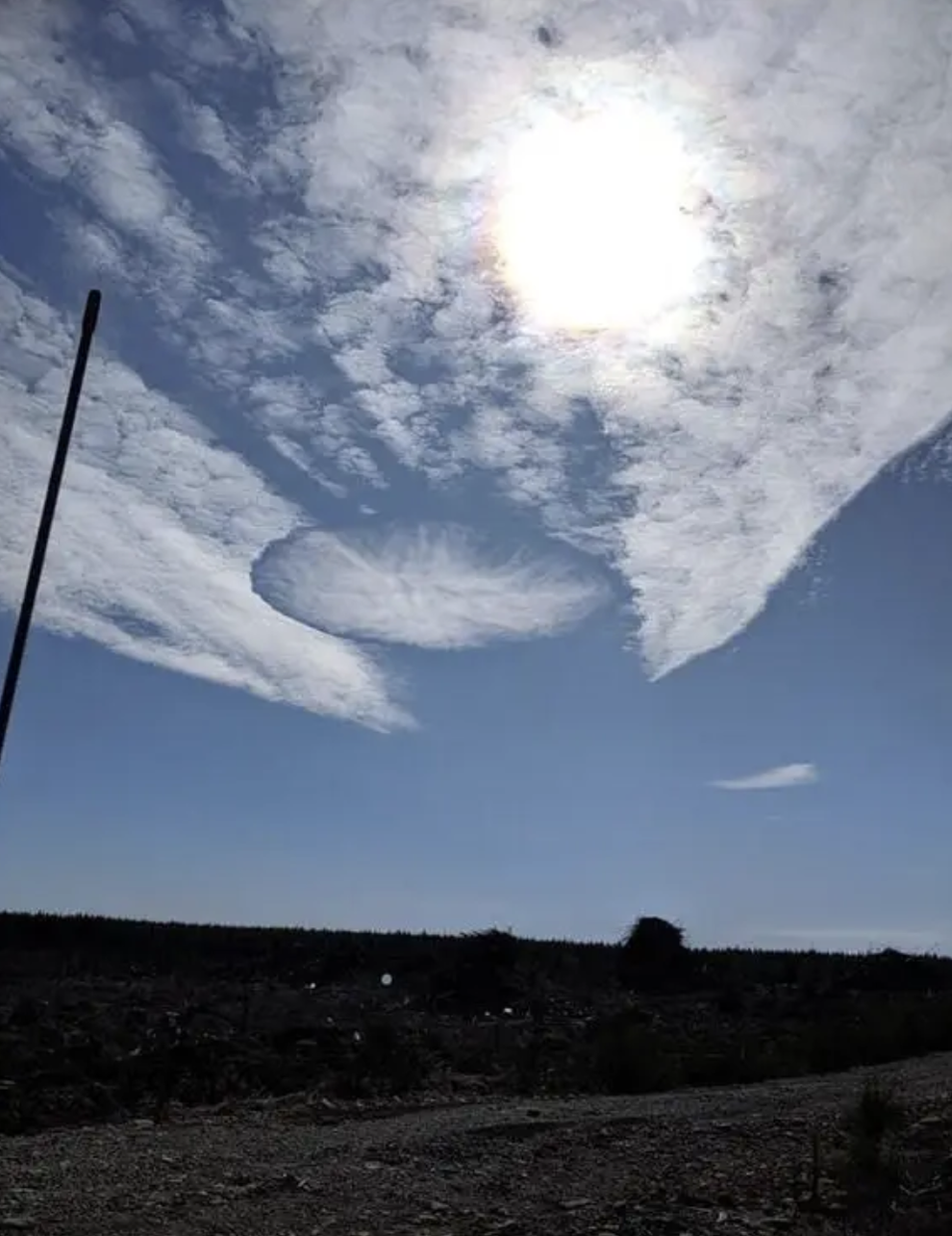 101 Photos Of The Biggest Matrix Glitches In The 2010s