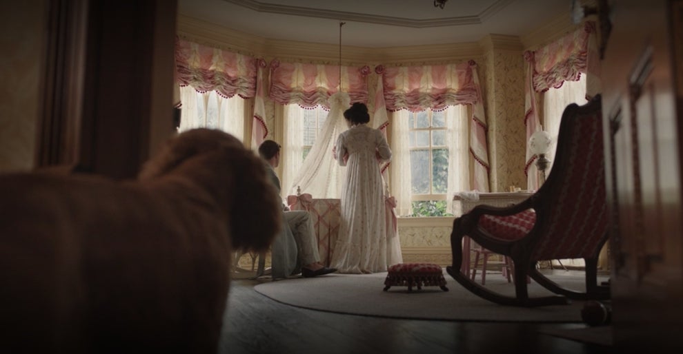 17 Very Important Questions The Live Action “Lady And The Tramp” Raises