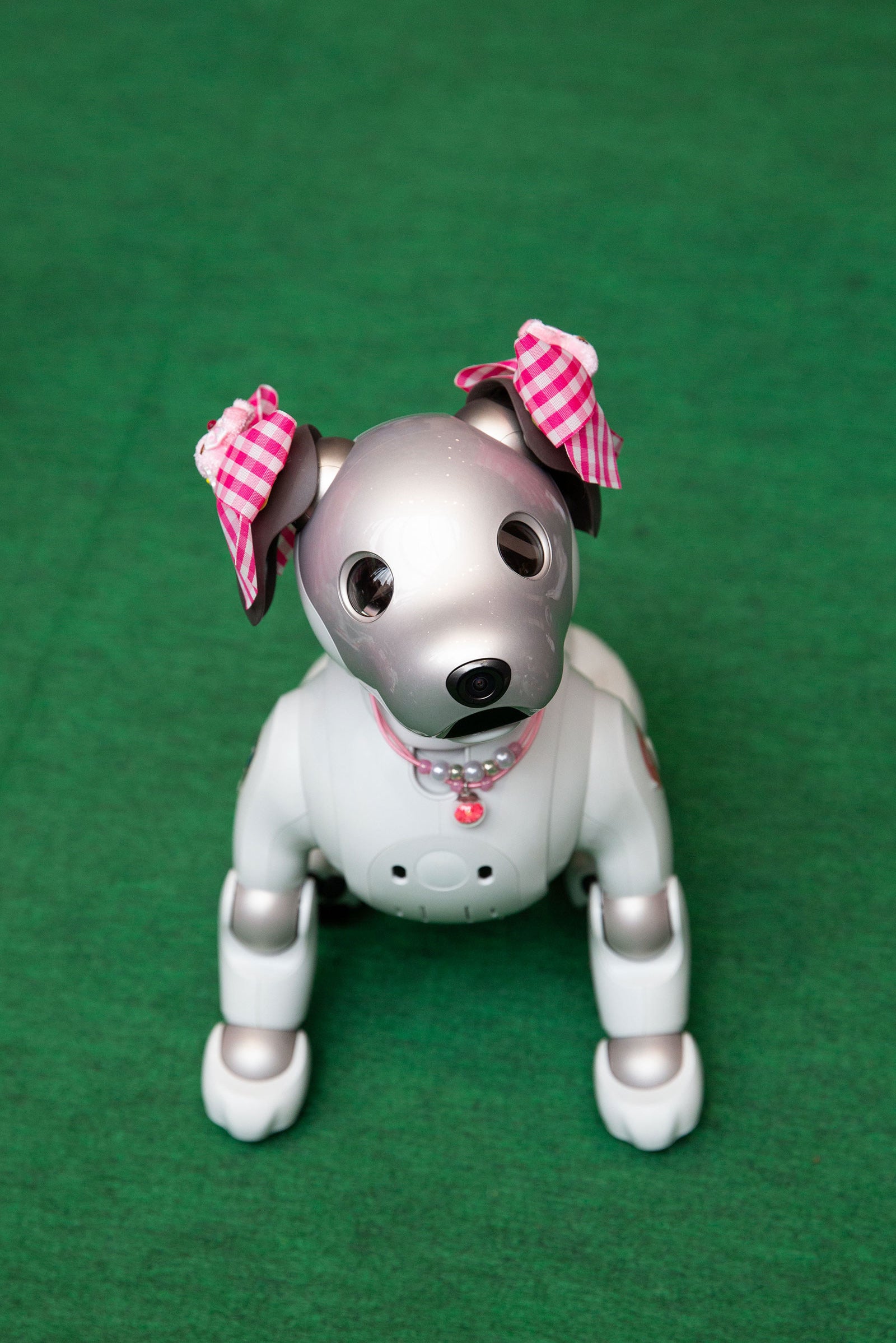 Aibo: People In Japan Learn To Love Their Robot Dogs — And Be Loved Back