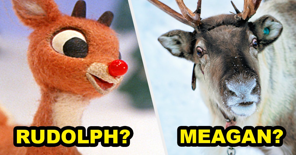 Quiz: How Well Do You Remember The Names Of Santa's Reindeer?