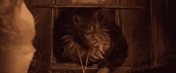 James Corden Said He's Heard "Cats" Is "Terrible" Even Though He's In ...