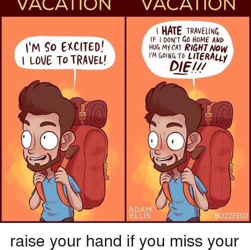 23 Memes About Travel