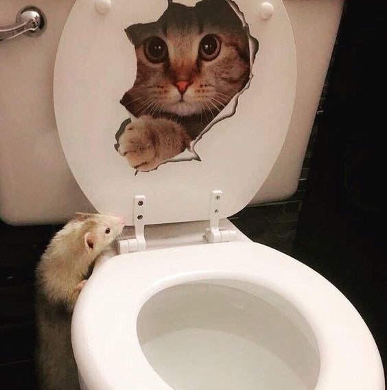 34 Gifts For The Most Awkward People In Your Life