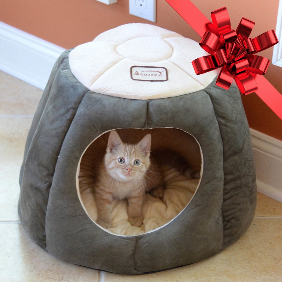 25 Of The Best Gifts For Pets You Can Get At Walmart