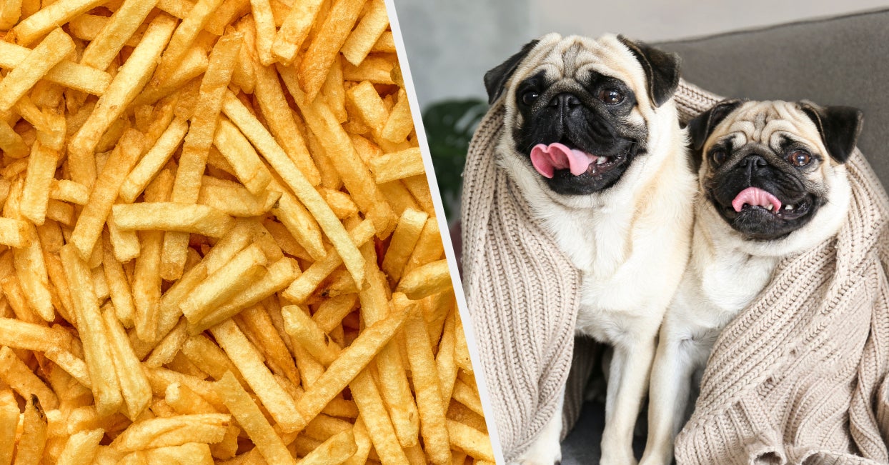 Quiz: What Percent Couch Potato Are You?