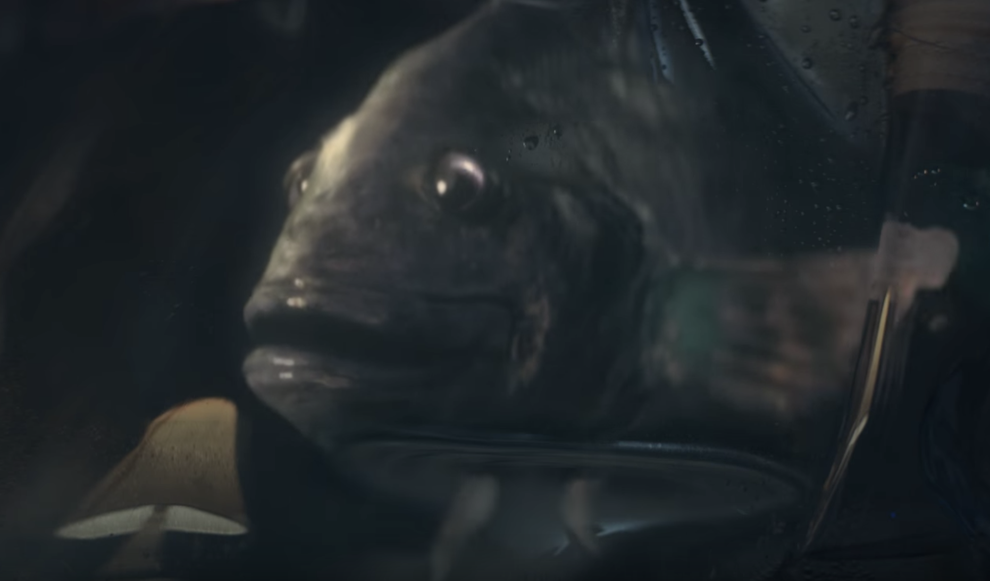 Harry Styles' New "Adore You" Music Video Is So Perfect In Every Way